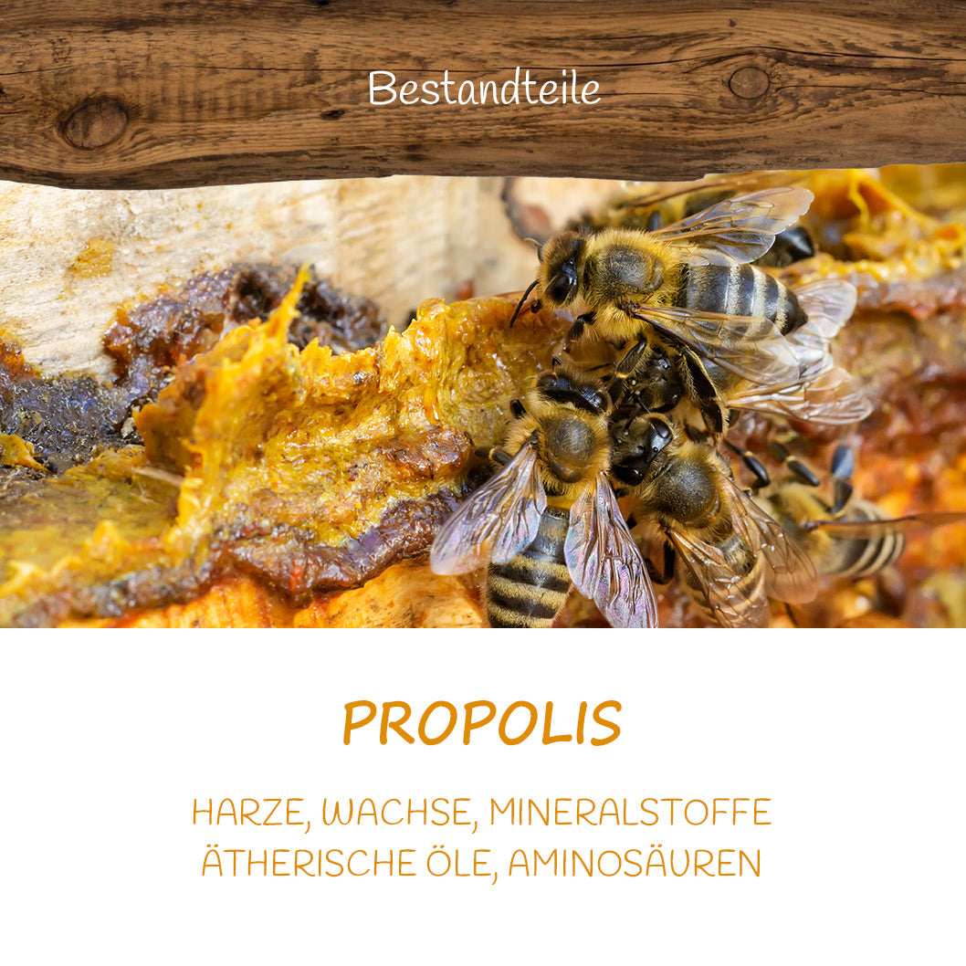 Naturbelassene Propolis-Produkte direkt vom Imker – Allgäuer Wanderimkerei