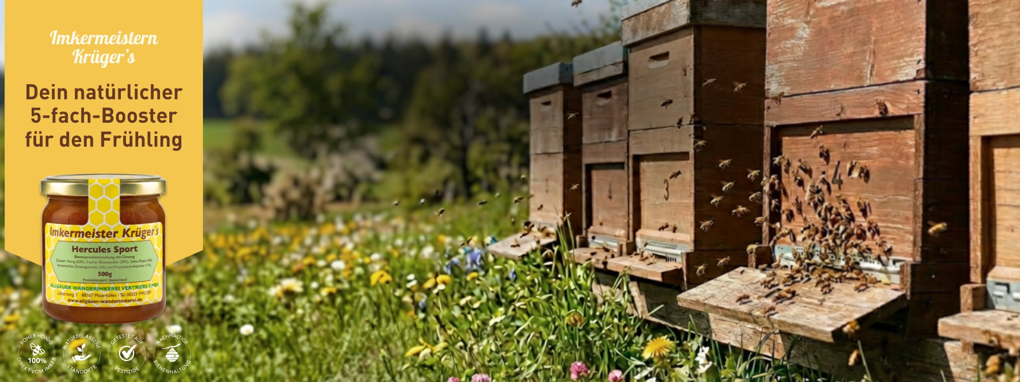 Alle Honige und Bienenprodukte I Direkt vom Imker – Allgäuer Wanderimkerei