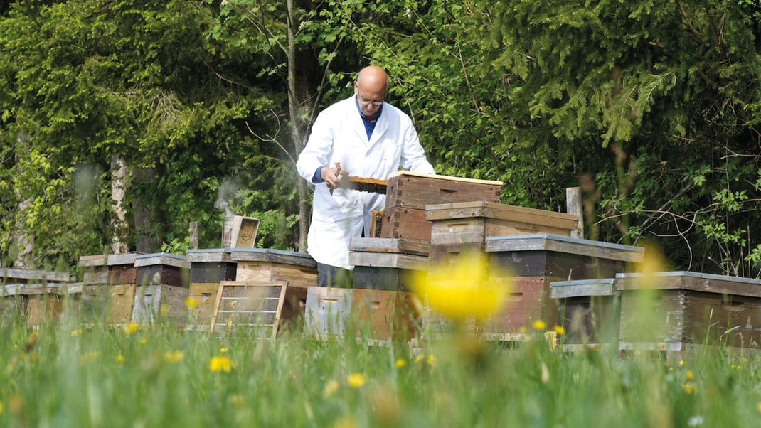 Aaron’s Honig-Bundle – 100% Imker Naturprodukte – Allgäuer Wanderimkerei