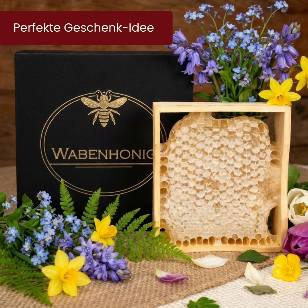 Deutsche Honigwabe in Geschenkbox direkt vom Imker – Allgäuer Wanderimkerei